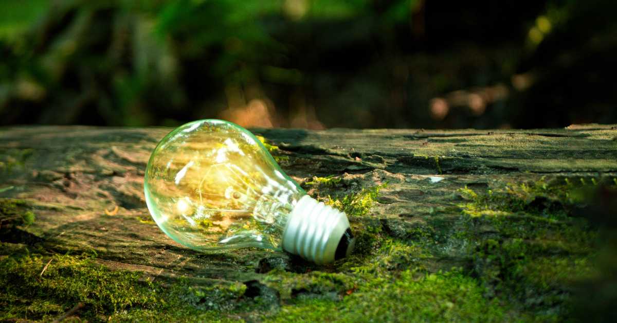 The Importance of Sustainability Education: Everglades University’s ...